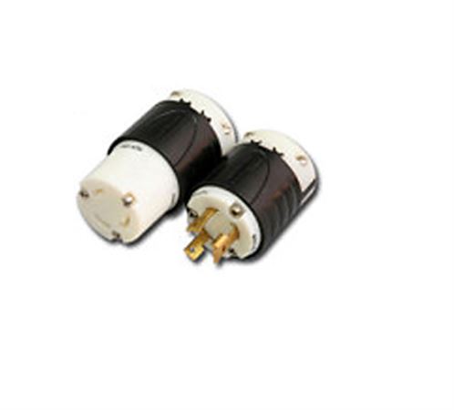 LOCKING PLUG 2 Pole 3 Wire 30A-250V Blk/Wht | Abbeon